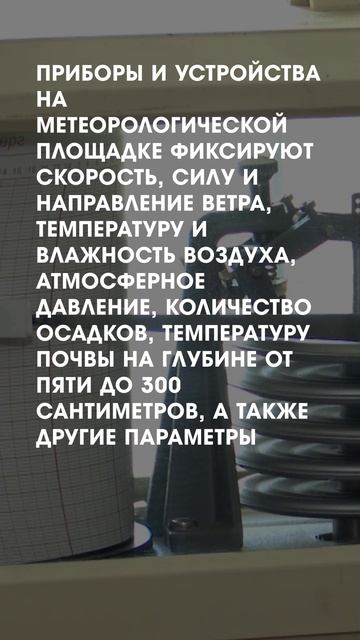 Всемирный день метеорологии