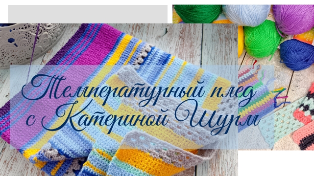 СП Температурный плед с Катериной Шурм. Отчёт февраля, участник № 24.