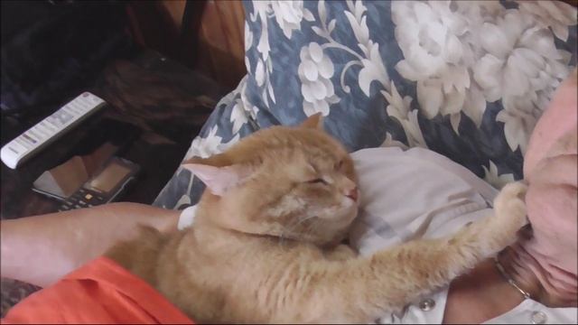 Пора спать...