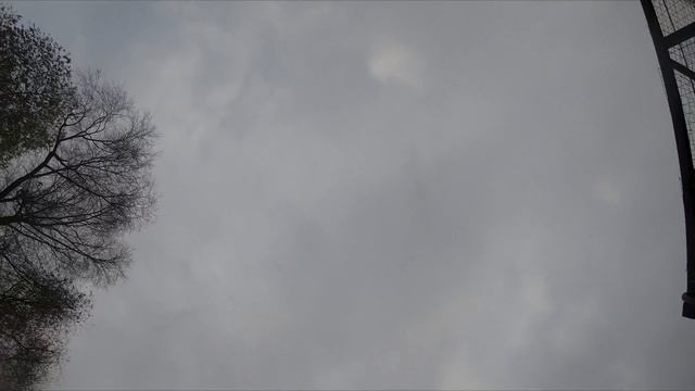 Почему не стоит покупать черепах у метро в парках и на набережных.И какие виды черепах сейчас гибнут