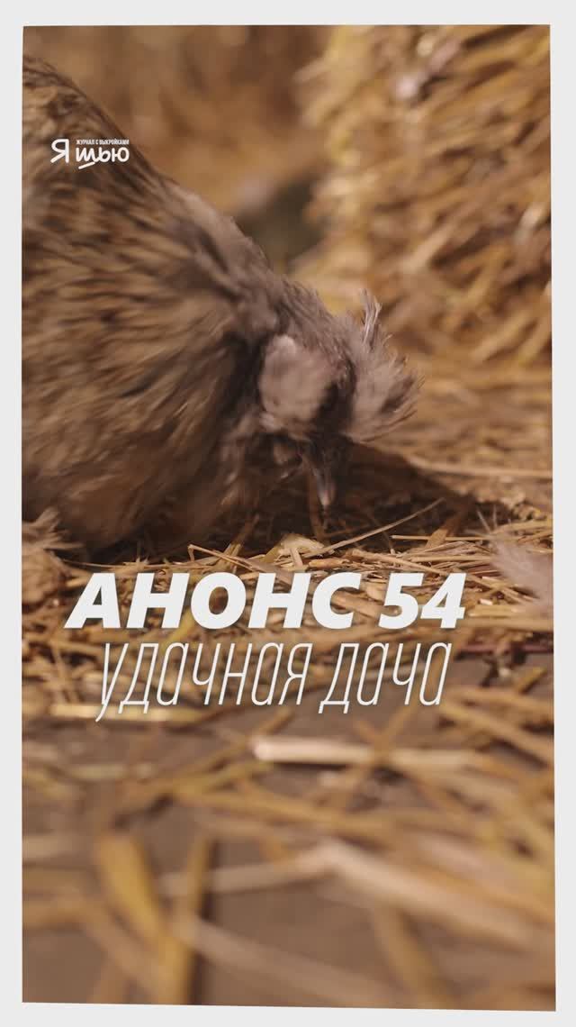 Анонс новой коллекции журнала «Я шью» #54