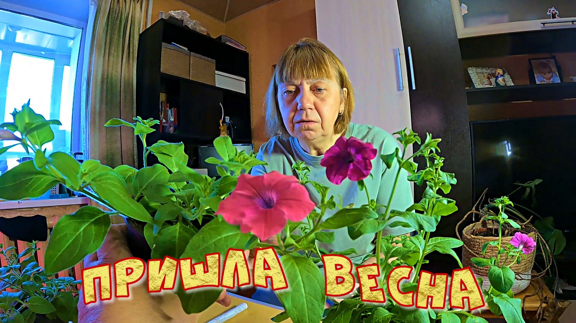 ПРИШЛА ВЕСНА И ЖИЗНЬ МЕНЯЕТСЯ