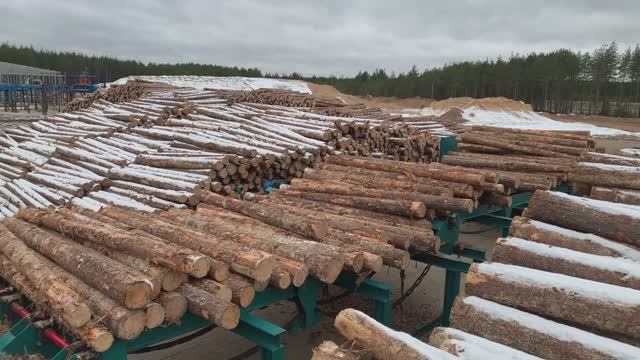 Линия сортировки бревен AXEL RLS 24 Корткерос, Коми