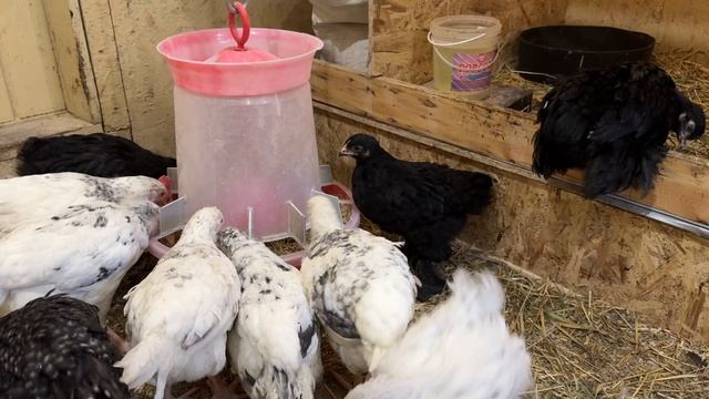 24 марта Легкий перекус