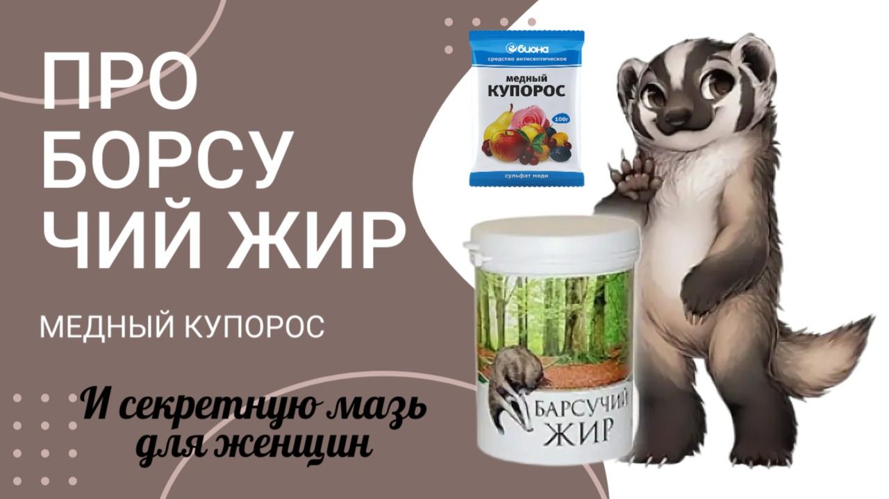 ПРО ЧИСТОТЕЛ БАРСУЧИЙ ЖИР И СЕКРЕТНУЮ МАЗЬ ДЛЯ ЖЕНЩИН