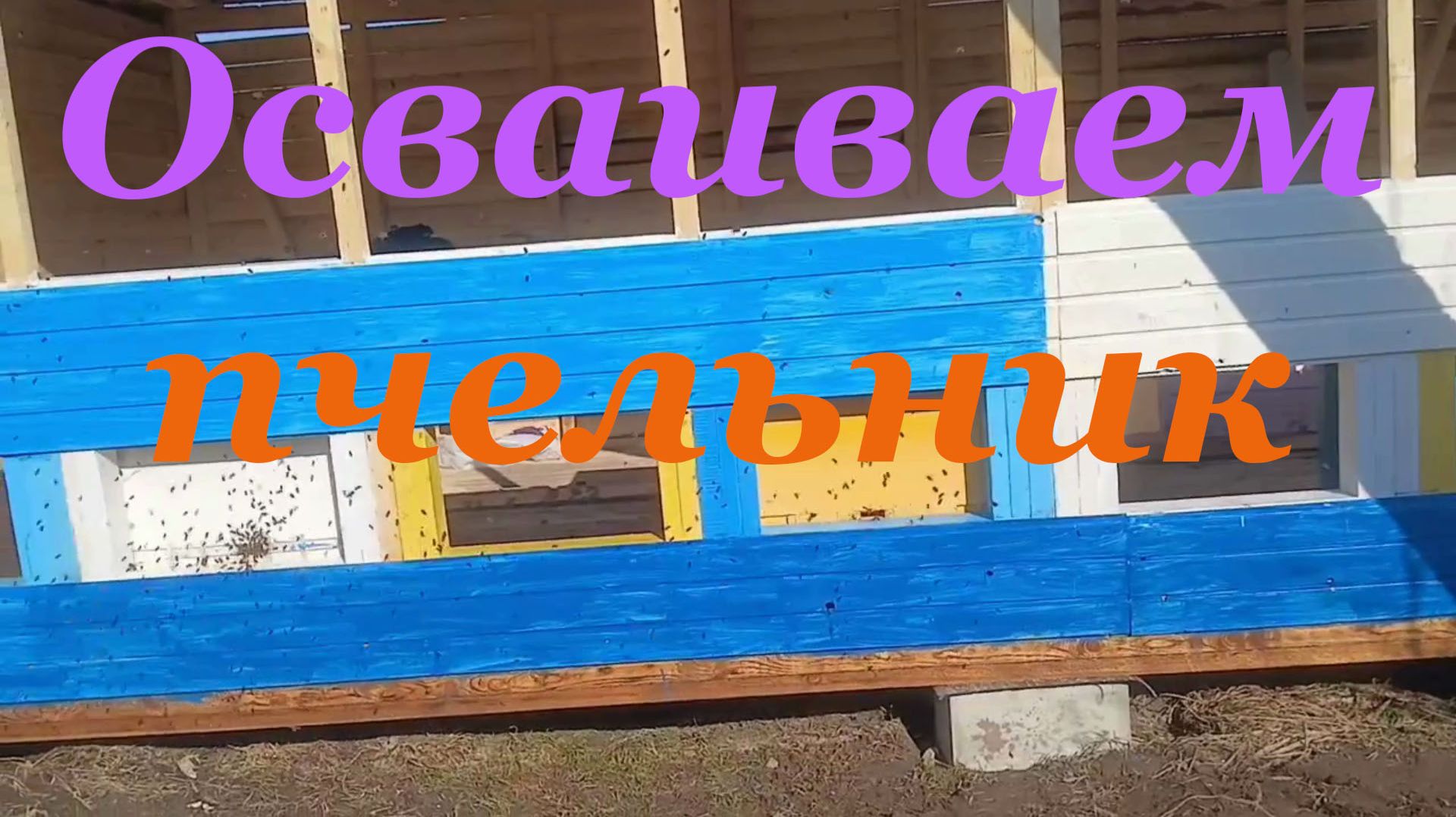 Заселяем новый пчельник первыми пчёлами