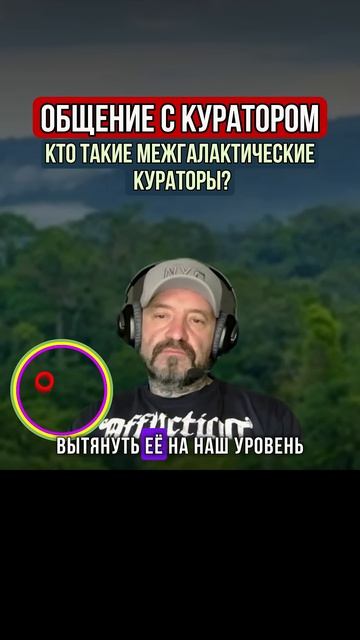 ОБЩЕНИЕ С КУРАТОРОМ
