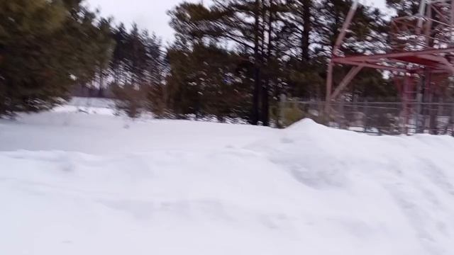 Вечерняя прогулка,с Леонардиком😄🥰