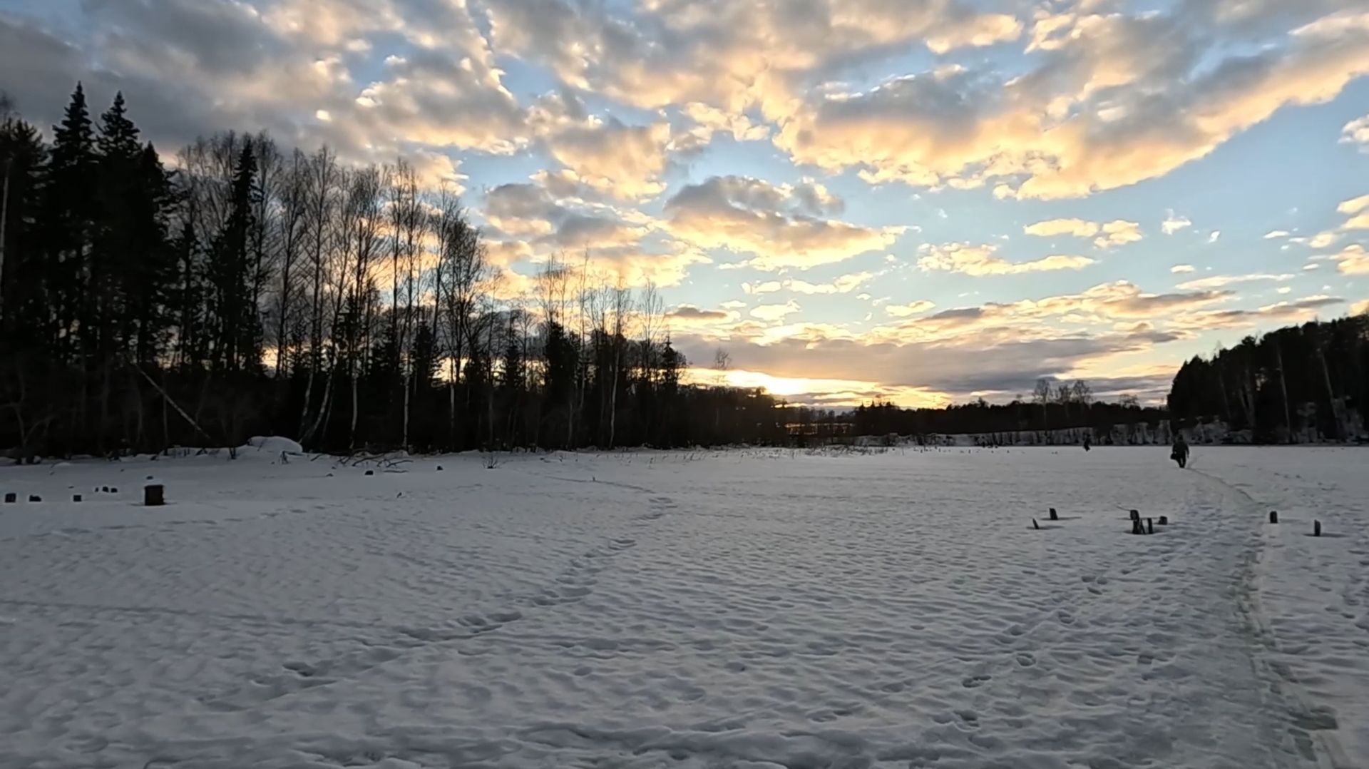 Зимняя рыбалка с подписчиком. Ловля спортивного окунька и не только!
