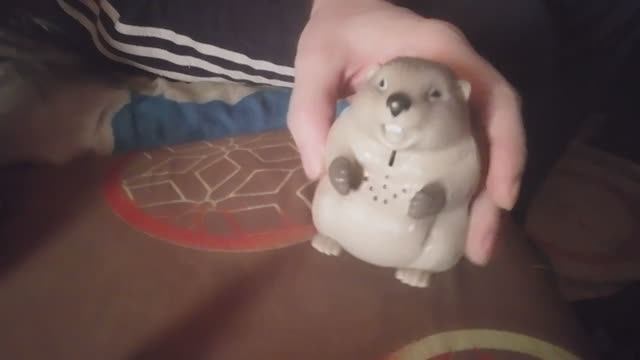 Привет бобёр :)