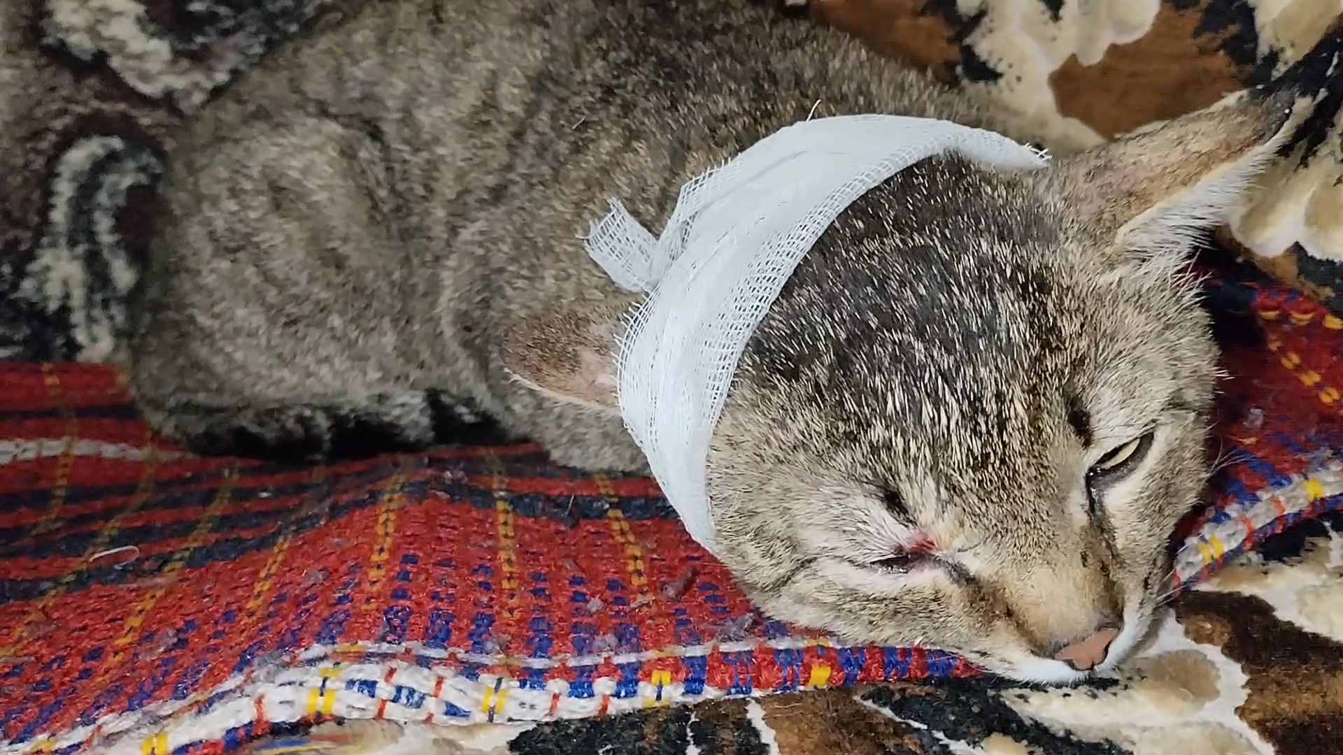 Отчаяние и боль!  24-03-2026