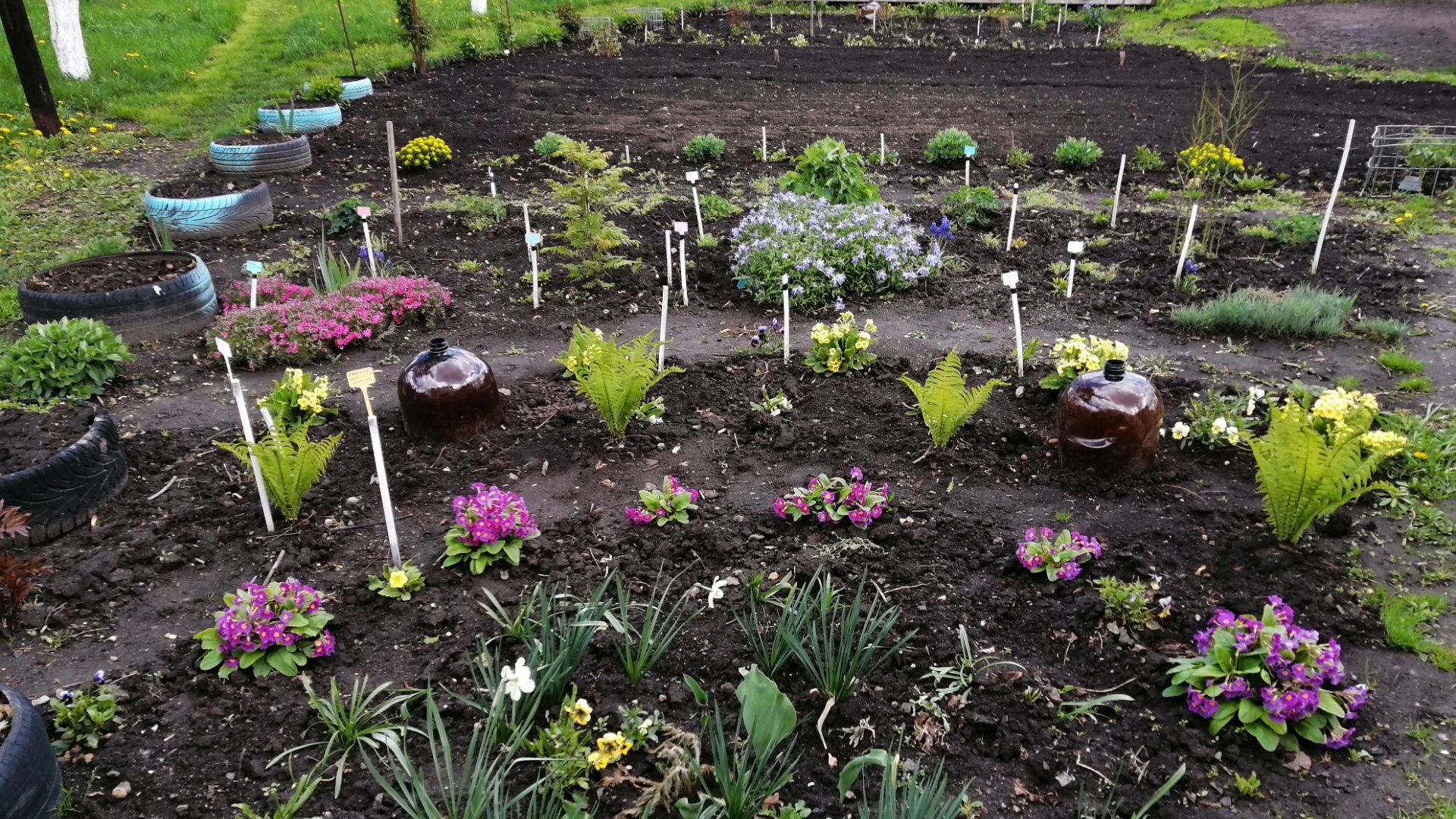 Апрельские работы цветовода