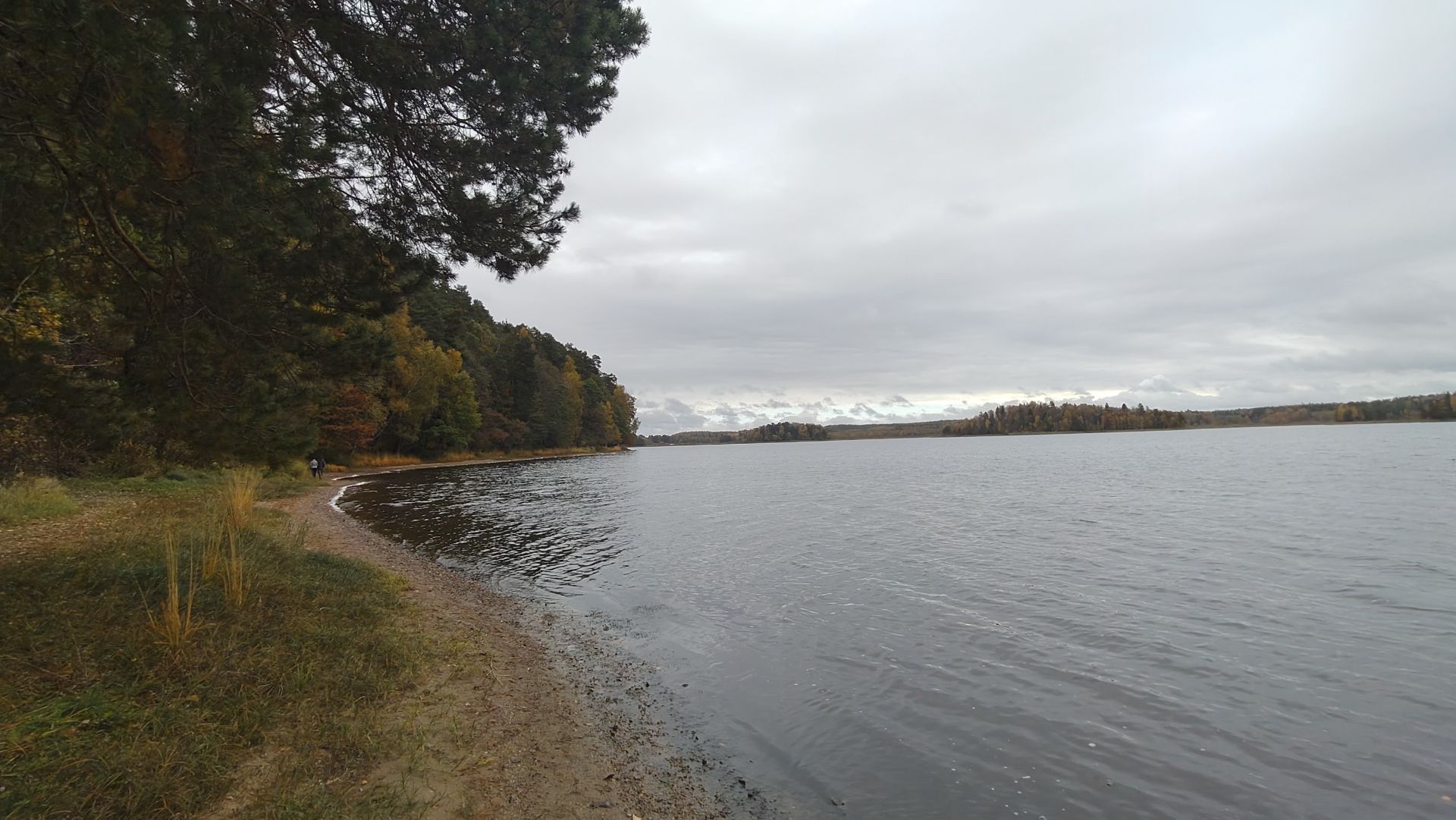 Смоленское поозерье. Озеро Сапшо.