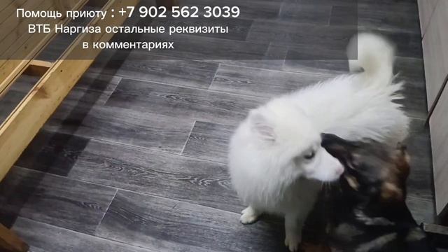 ЛУЧШЕЕ ЗА СЕГОДНЯ