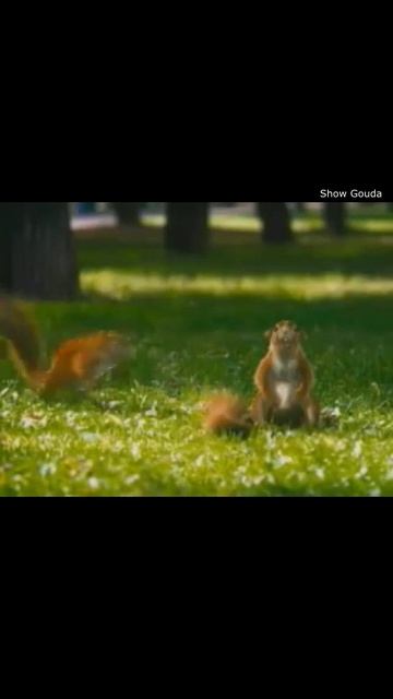 Завлекательно: Орехов стало еще больше