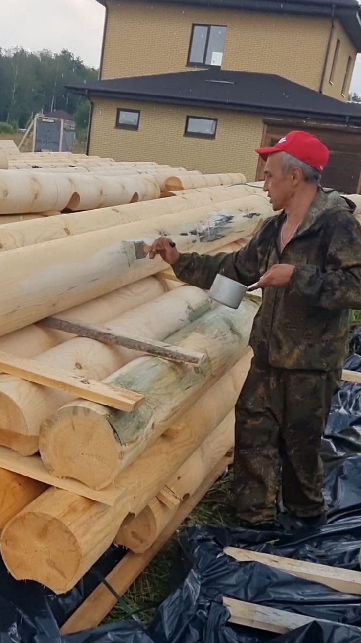 Синева на бревне. Ч.2 Лечим дерево. В первой части рассказывали, что пришел домокомплект  с синевой