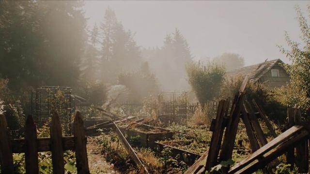 Дачный сезон...(от Strelech74).