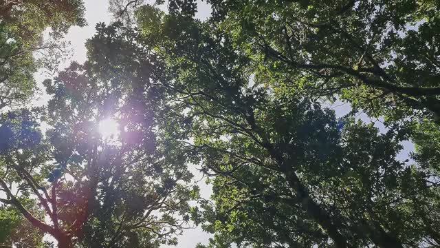 Крылатые качели - Ирина Сук