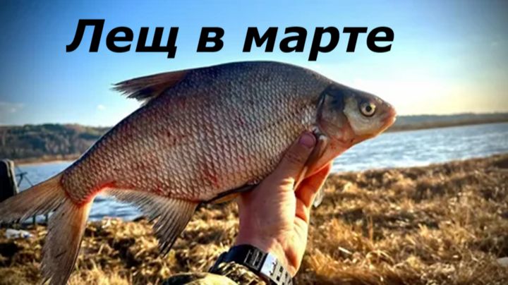 КАК ЛОВИТЬ ЛЕЩА В МАРТЕ? ПРИМАНКИ И СНАСТИ ДЛЯ РЫБАЛКИ! МЕСТА ДЛЯ ЛОВЛИ ЛЕЩА