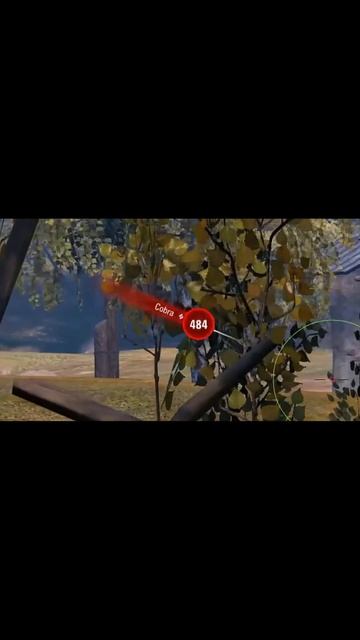 Царская Вертуха-блайнд