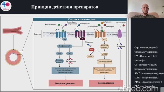 Кардиогенный шок_Щепарев И.С.