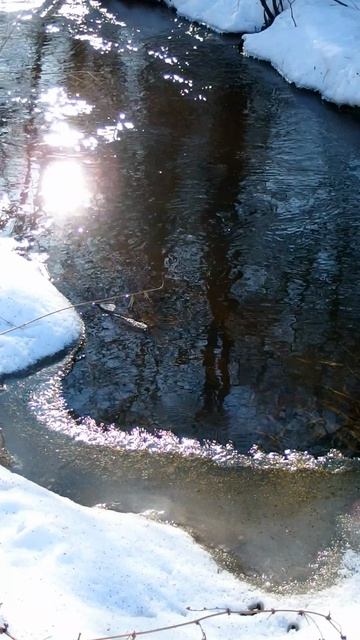 Живые картины русской природы 16