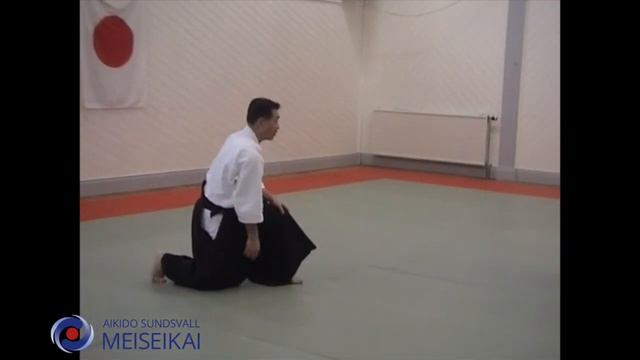 Aikido-Shishiya-sensei-Sandviken-unknown-year (720)