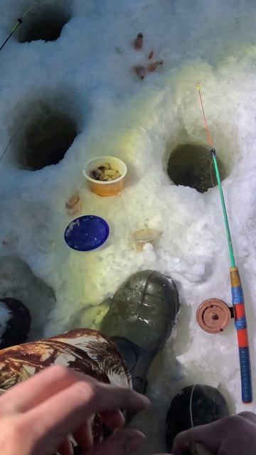 Рыбалка на белом море! Ловим навагу на тяжелые мормышки в палатке! Март 2026!