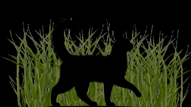 Прогулка по траве. Звуки шагов по траве