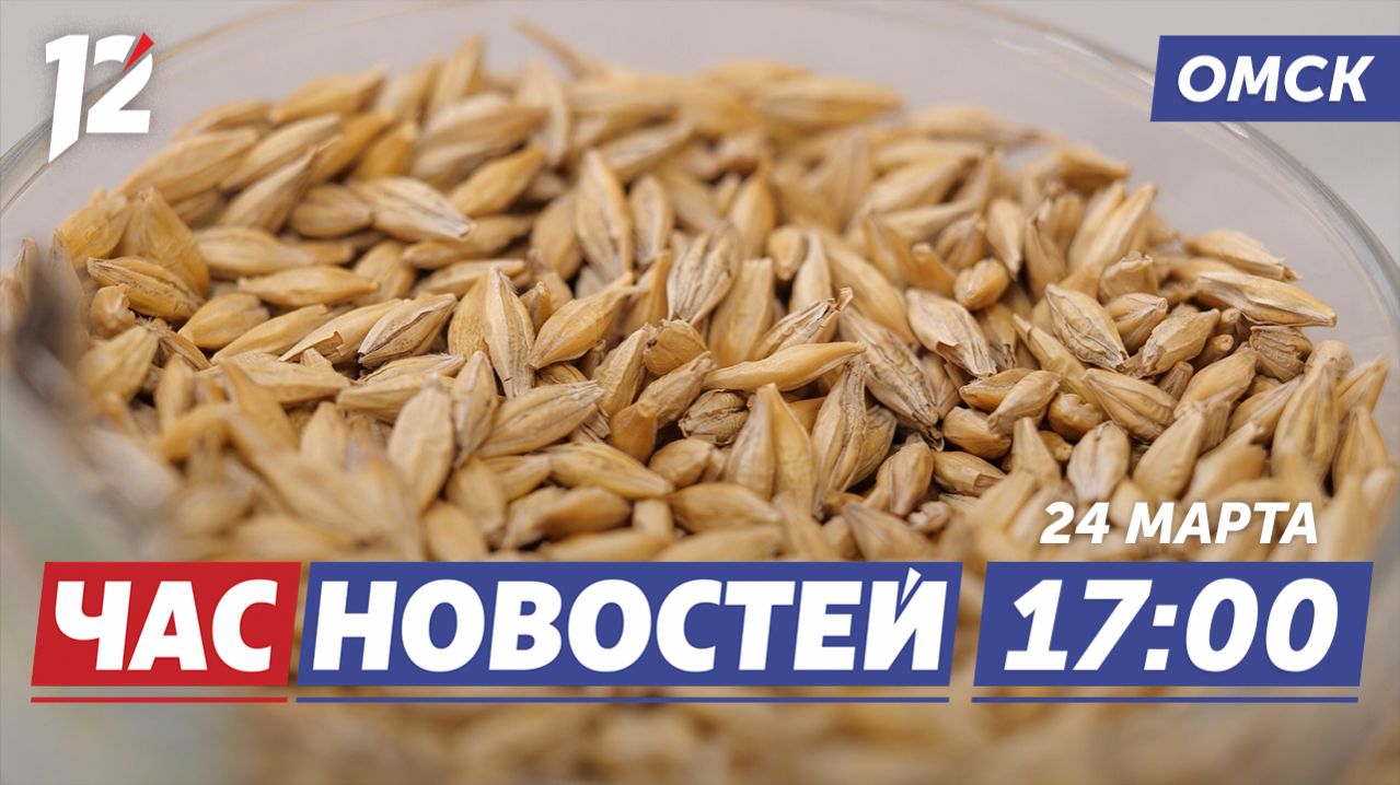 Новые сорта пшеницы / Антитеррористический форум / Конкурс юных талантов. Новости Омска