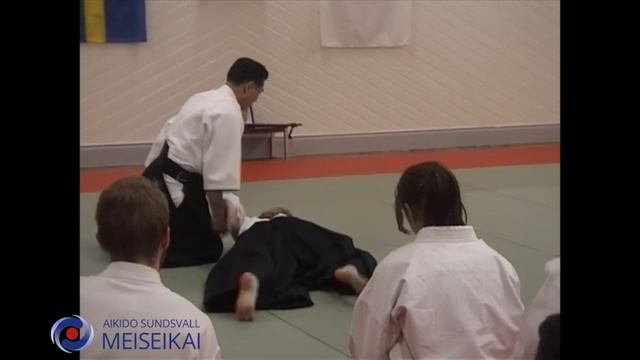 10.Aikido Suwariwaza Gyaku Hanmi Kotegaeshi2, Shishiya Sensei Sandviken