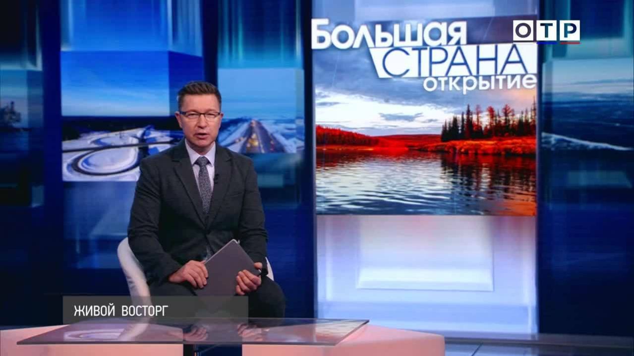 Живой восторг»: встреча с дикой природой России — от китов до сайгаков