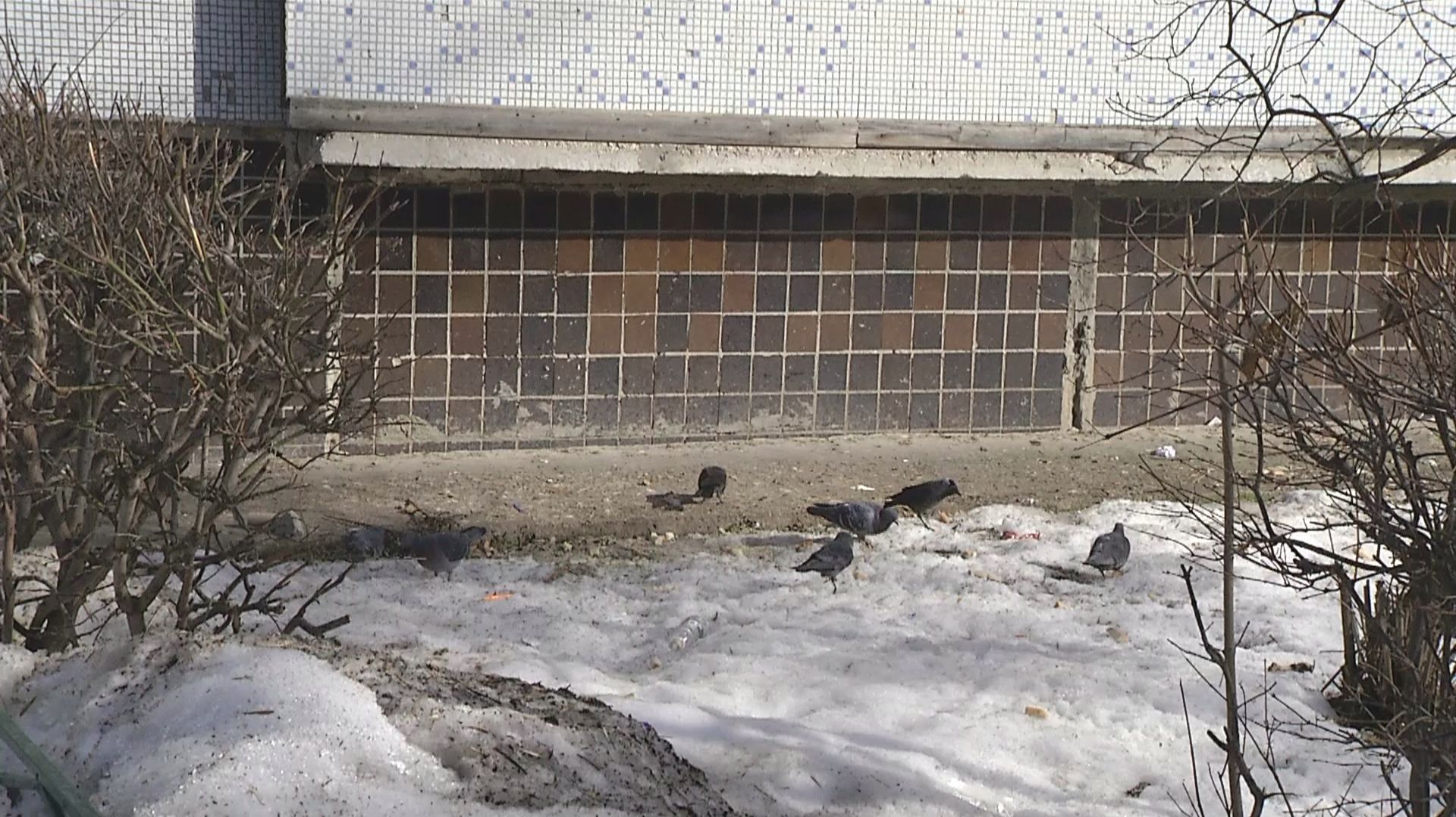 "Новости Тольятти" 23.03.2026