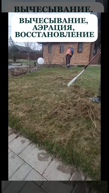 Весной газон требует ухода.