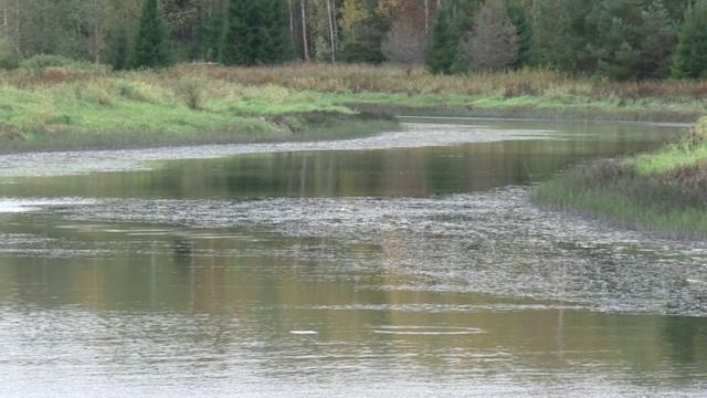 На Ошме. Октябрь 2017