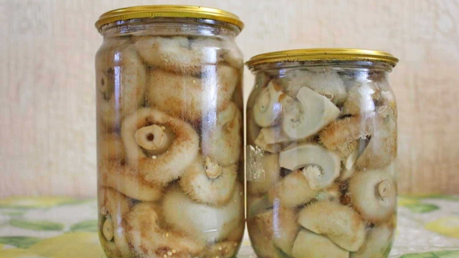 ГРИБЫ ВОЛНУШКА МАРИНОВАННЫЕ ГОРЯЧИМ СПОСОБОМ #грибы #простойрецепт #маринад