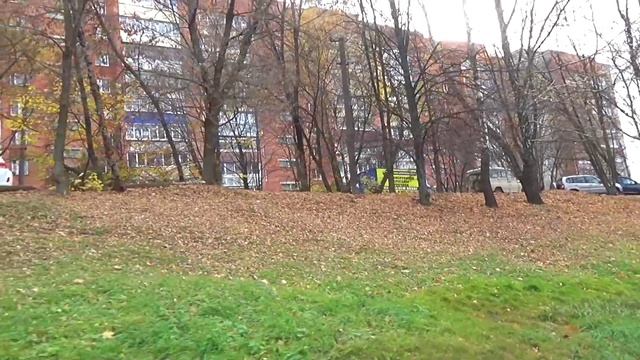 Поездка за грибами+экскурсия по Туле