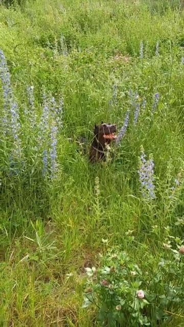 Когда же лето придет? Хочется 🌞и тепла🫶