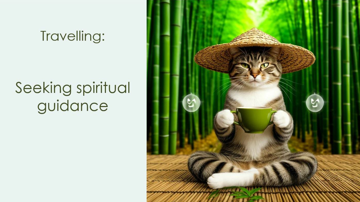 Story # 284 : Travelling : Seeking spiritual guidance