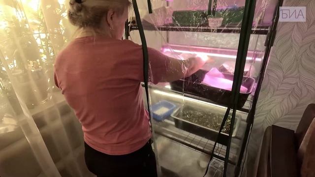 БИА в лицах. Виктория Балахонова