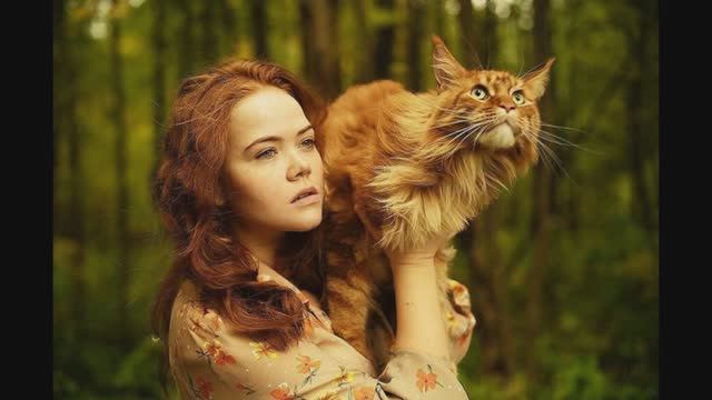 Знакомство с творчеством Александра Бочкарёва 1 часть