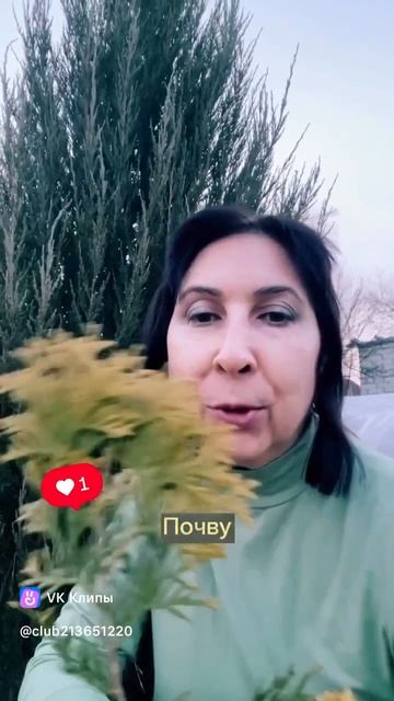 Растения умирают не просто так