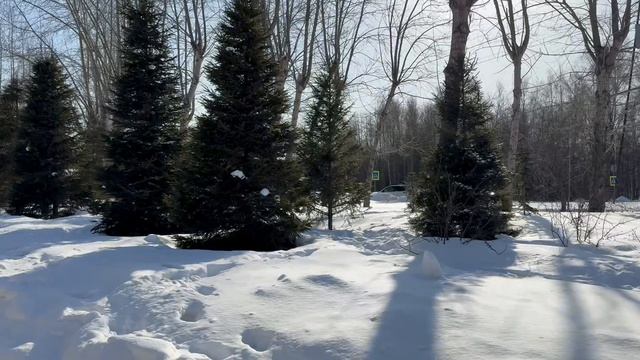 Зимняя сказка ☑️❄️⛄️ Тюменские зарисовки ✈️ 27 Февраля 2026