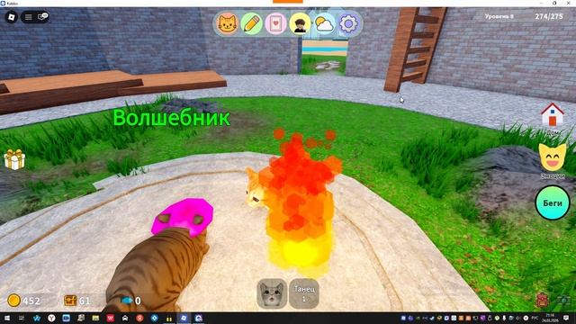 играем в игру с котятами