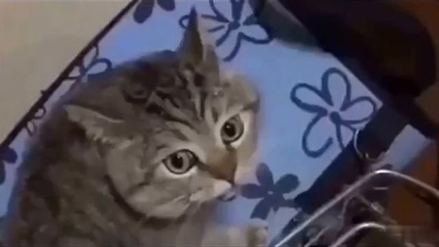 Голос на вокзале