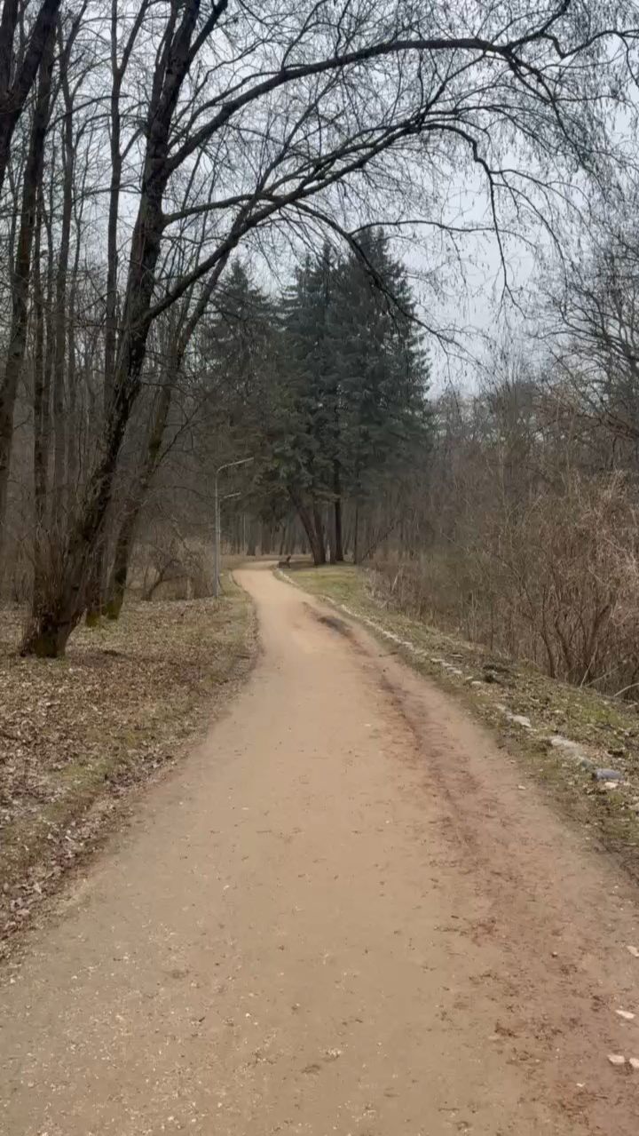Весенние желания на склонах Кисловодского парка