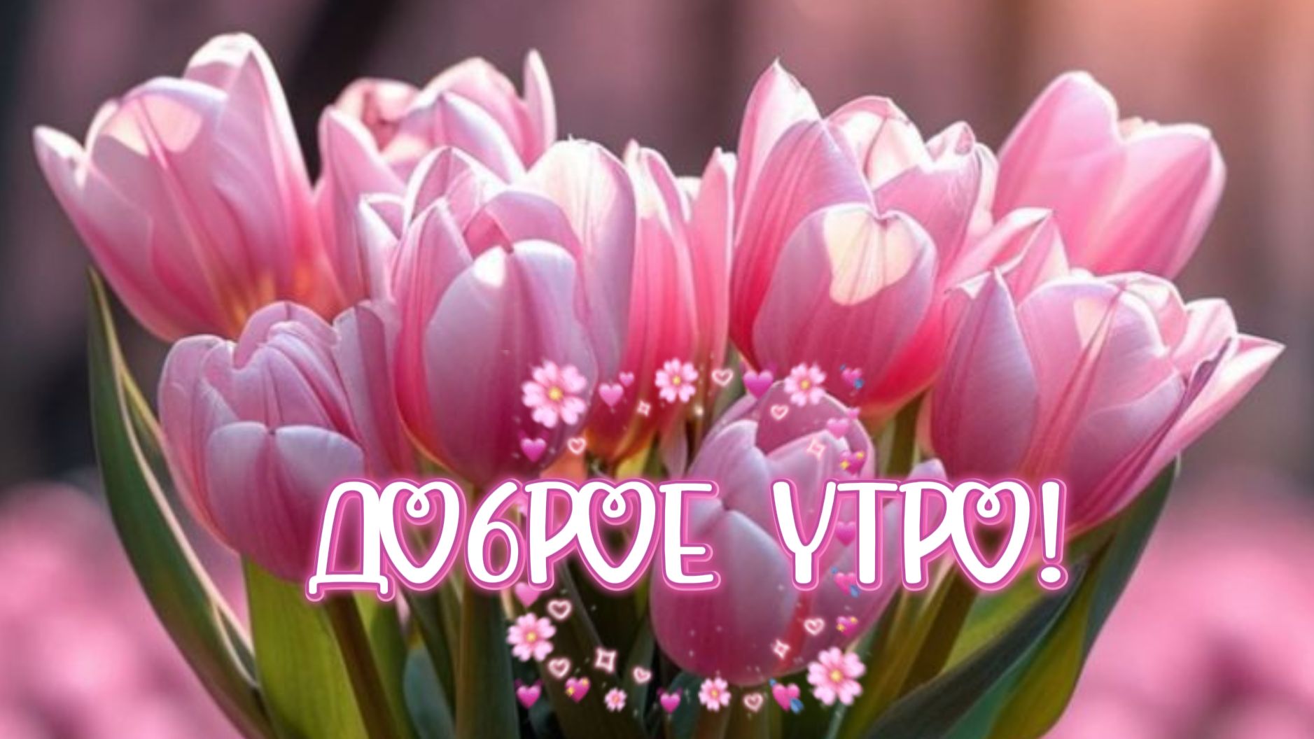 Доброе утро! Красивое видео пожелание удачного успешного утра! ☀️🌟