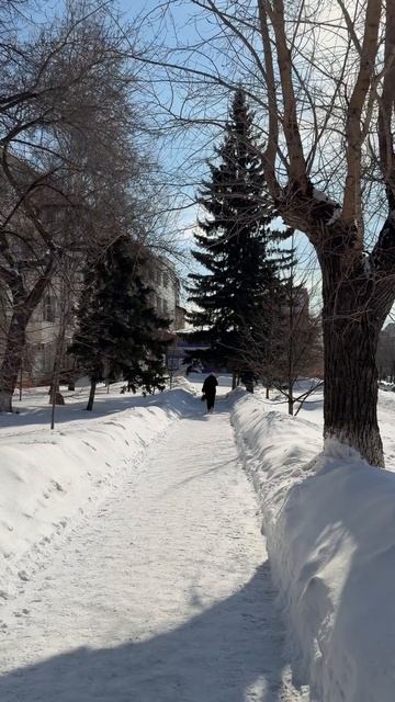 Весенняя эстетика в АлтГУ