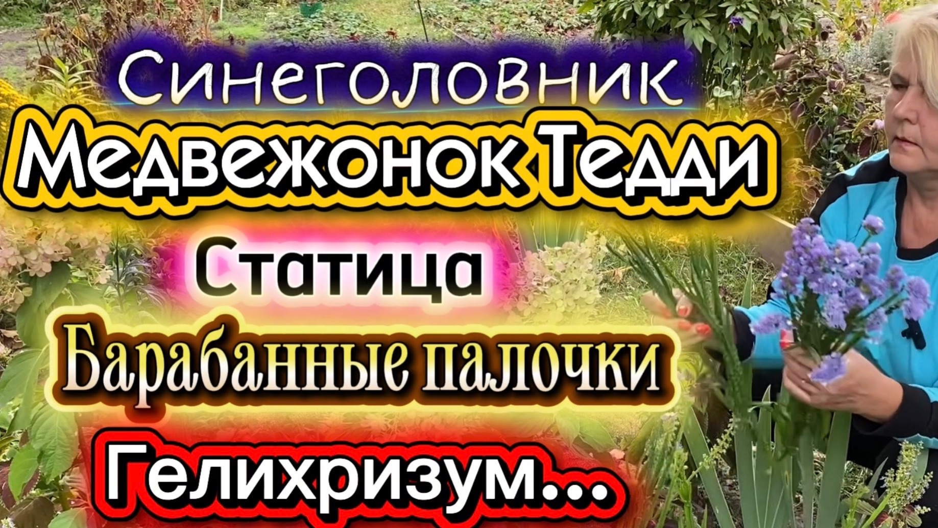 Выращиваю сухоцветы для цветника в стиле "Новой волны" на своём участке