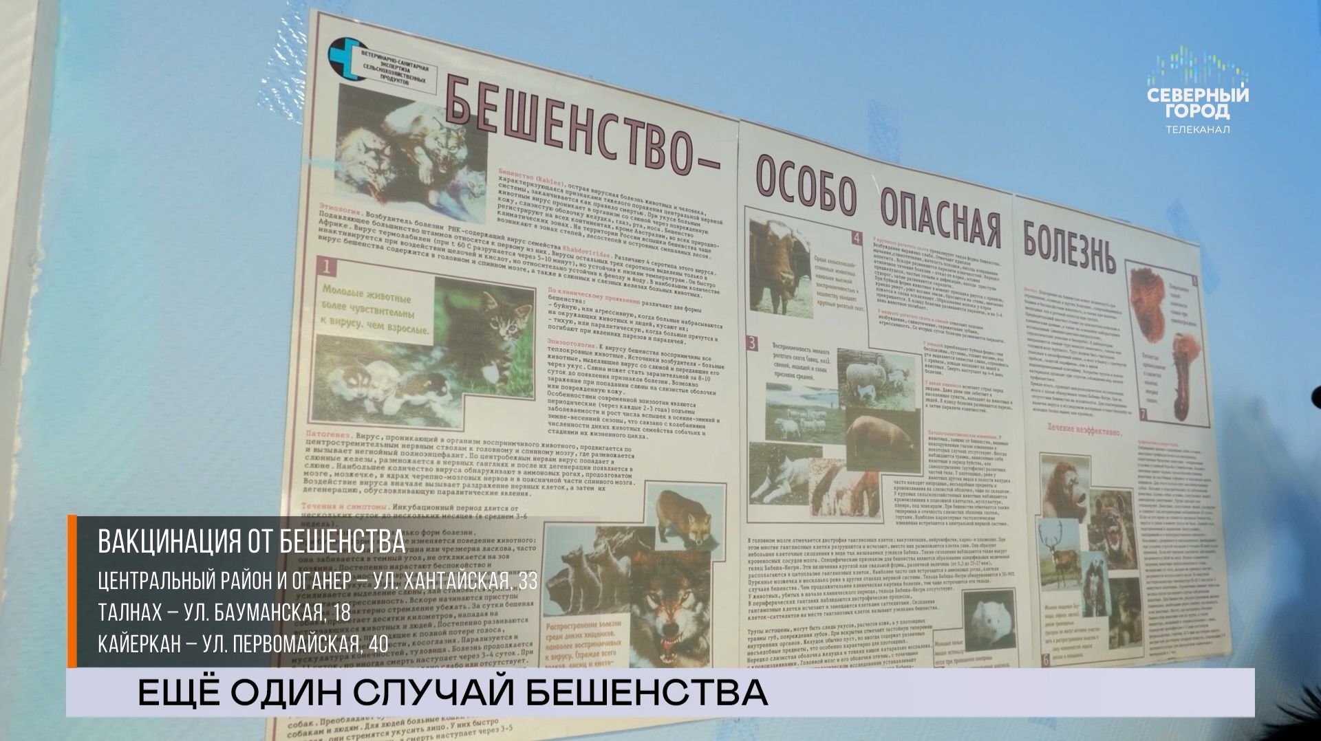 НОВОСТИ СЕВЕРНОГО ГОРОДА, 24.03.2026